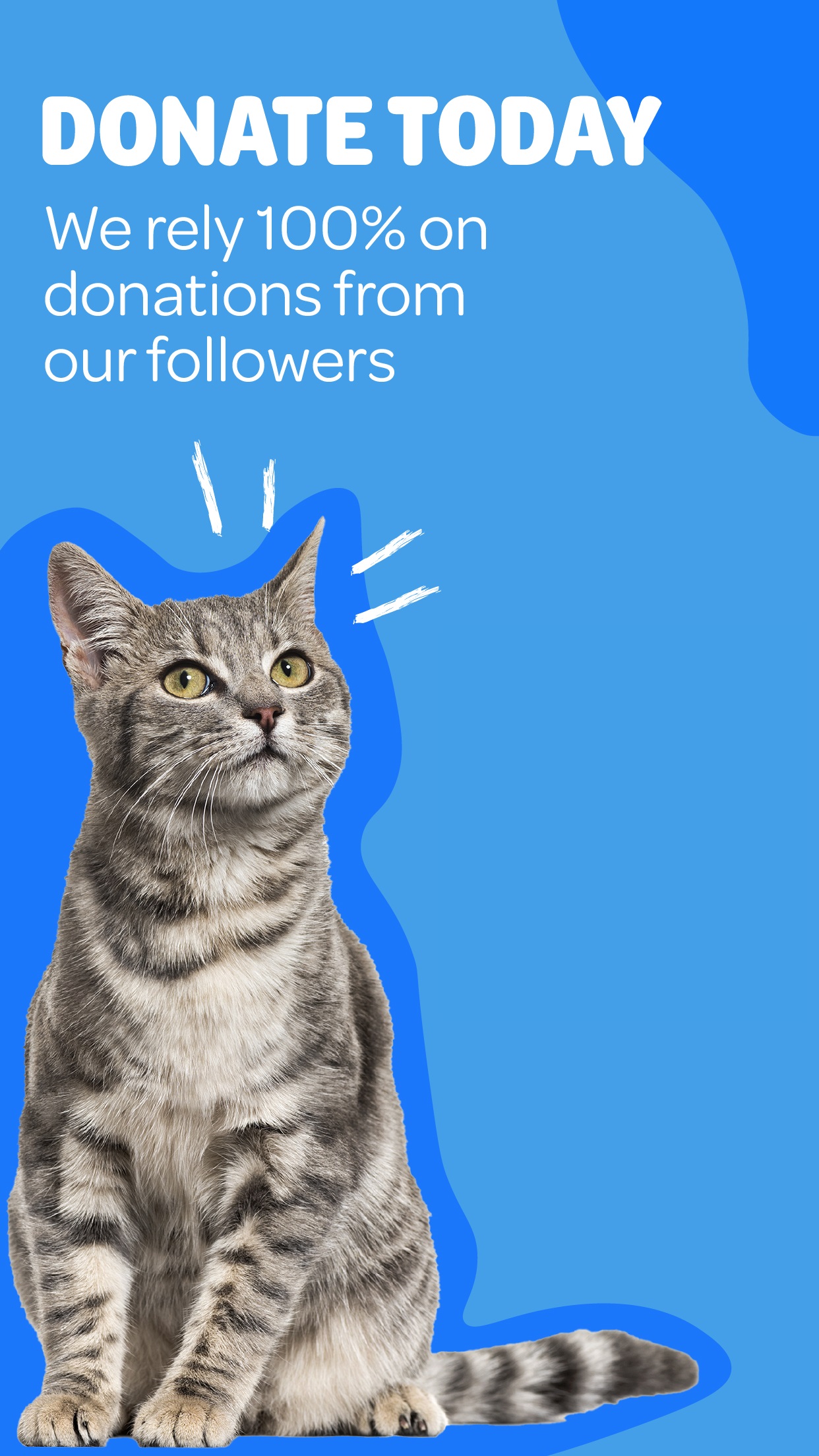 Donate – Cat and Dog Protection Association of Ireland