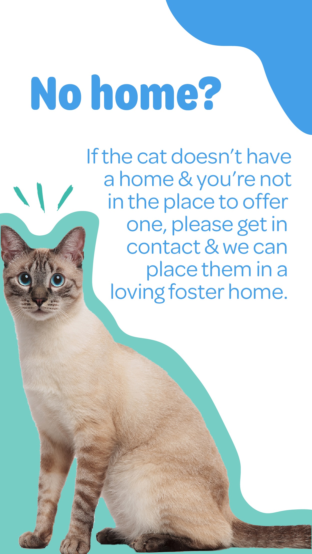 CONTACT – Cat and Dog Protection Association of Ireland